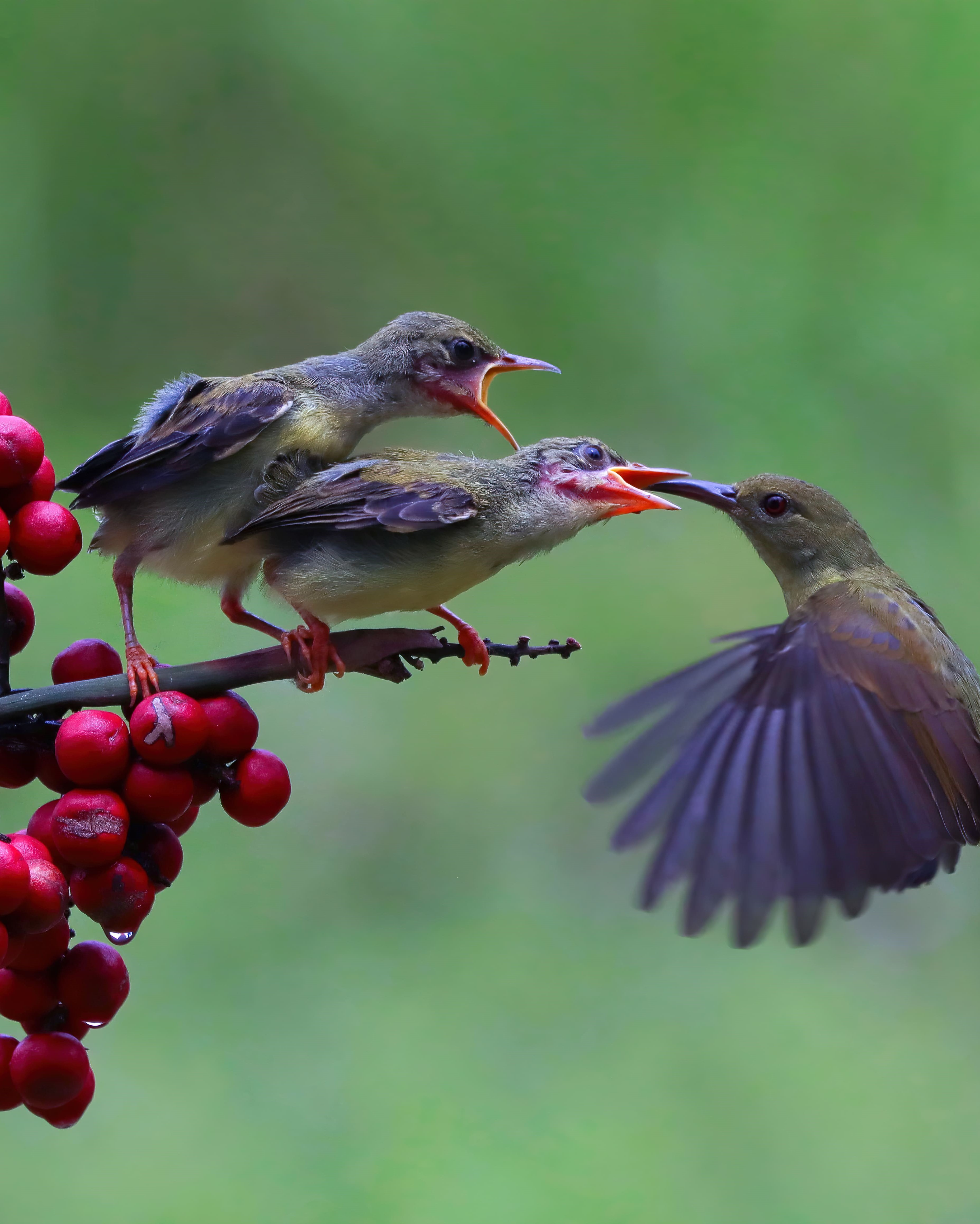 Hope Expedition Safaris